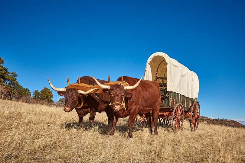 Soul-Mates and Help-Mates – Musings and Wonderment