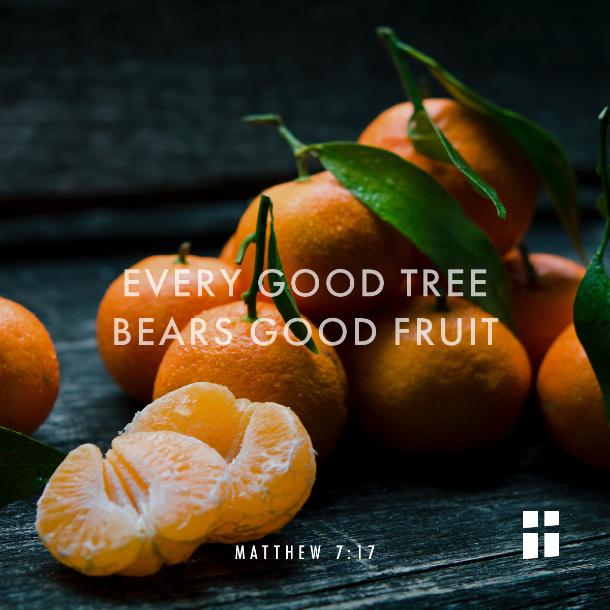 A Tree and Its Fruit: A Sermon on Matthew 7: 15-20 – Musings and Wonderment